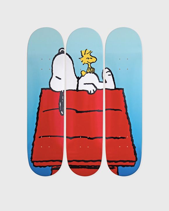 The Skateroom Daydreaming Multi | BSTN Store